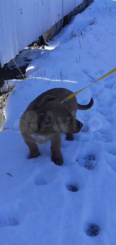 Маленькое чудо для души